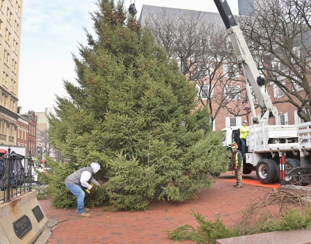 Lancaster city's 2025 Christmas tree arrives in Penn Square [photos ...