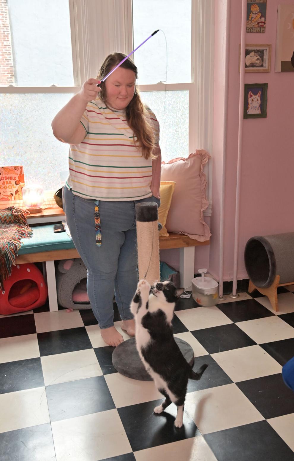 What's the LanCATster Cat Cafe like? A pair of LNP reporters find out ...