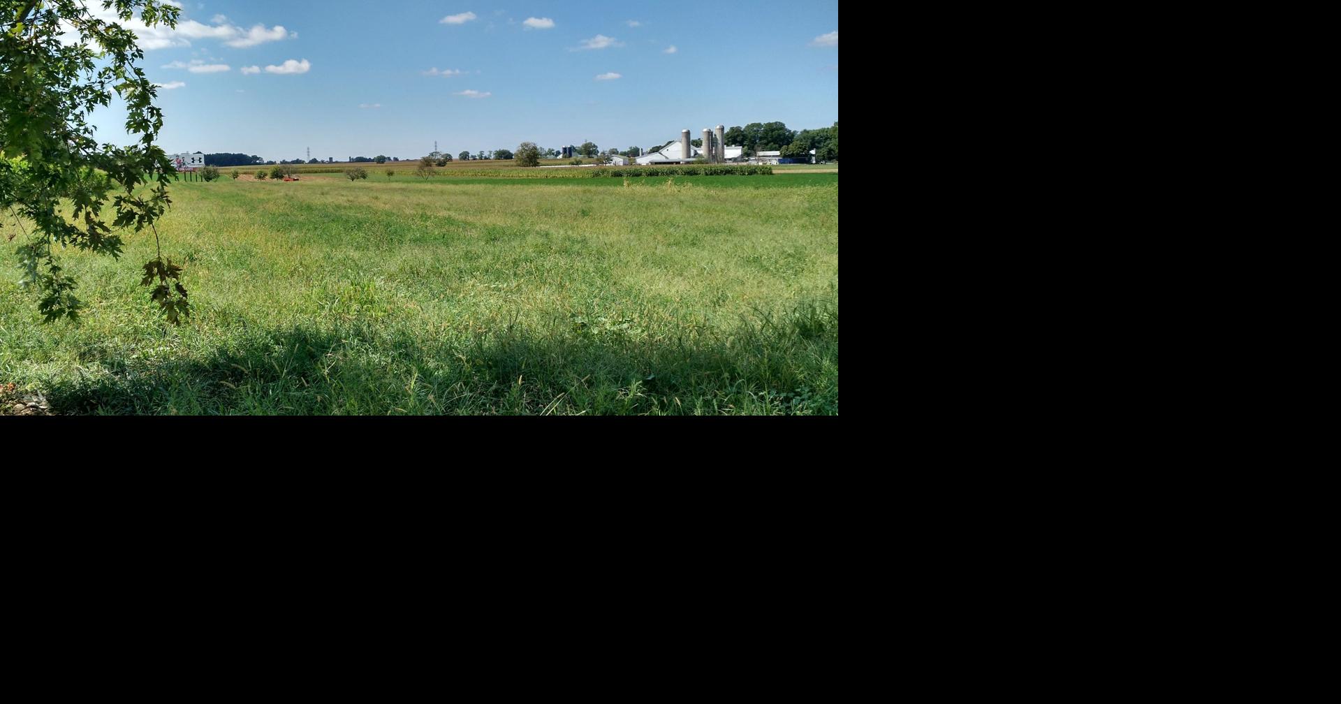 18 Amish young people died suddenly; Mayo Clinic identified genetic ...