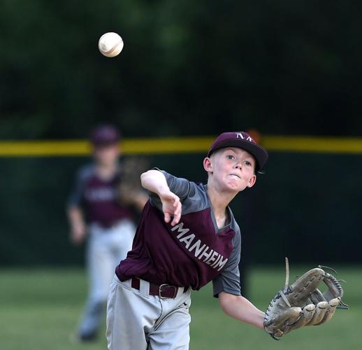 Mountville Cubs vs. Manheim VFW - LNP Tournament 10U finals [photos ...