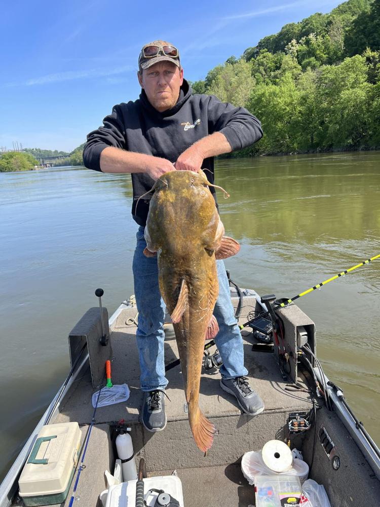 Franklin County man caught state record-breaking flathead catfish in ...