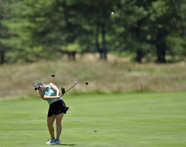 Gallery: LLCCGA Amateur | | lancasteronline.com