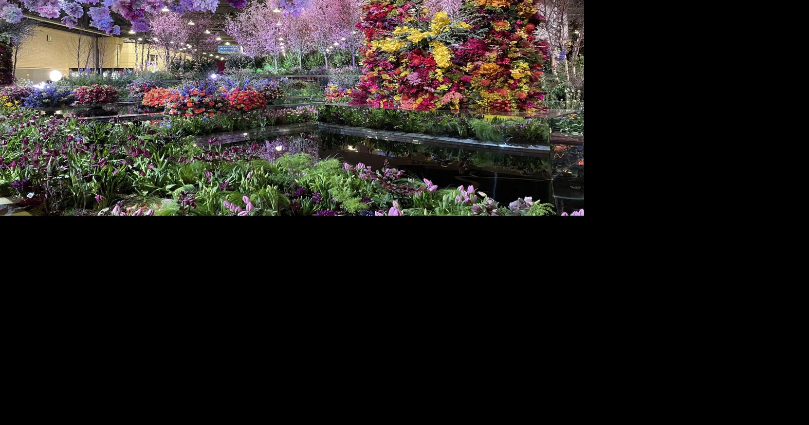 A look at the 2024 Philadelphia Flower Show, plus 5 things not to miss ...