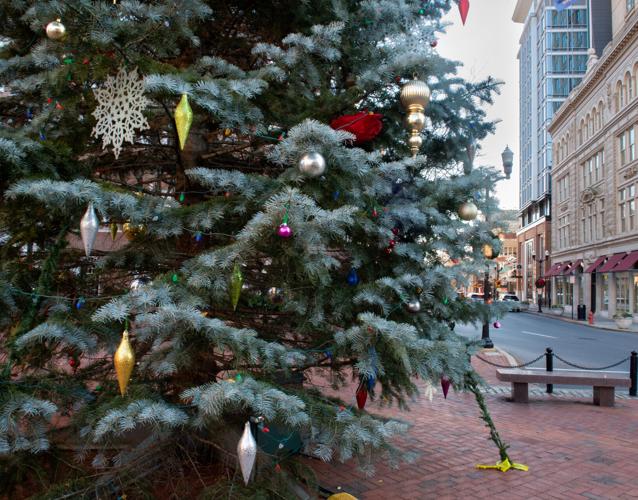 LEADS decorates this year's Lancaster holiday tree [photos ...