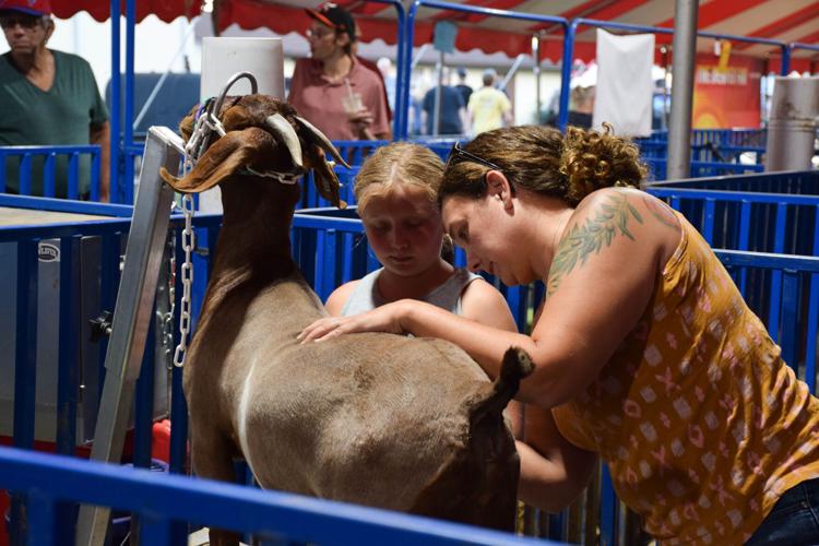 Denver Fair returns for the 2023 fair season in Lancaster County ...