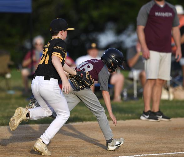 Mountville Cubs vs. Manheim VFW - LNP Tournament 10U finals [photos ...