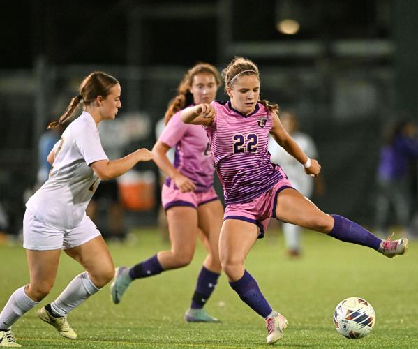 With 3 sets of siblings in starting lineup, Lancaster Catholic girls ...