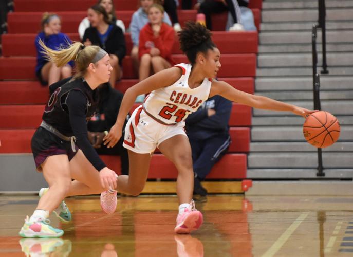 Manheim Central vs. Lebanon - L-L League girls basketball [photos ...