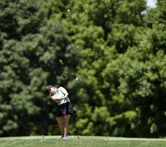 Gallery: LLCCGA Amateur | | lancasteronline.com