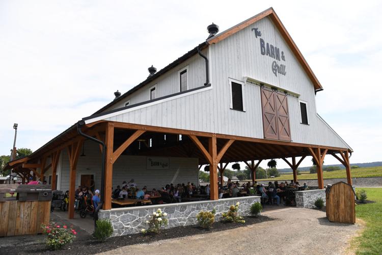 Explore the Cherry Crest Adventure Farm [photos] | | lancasteronline.com