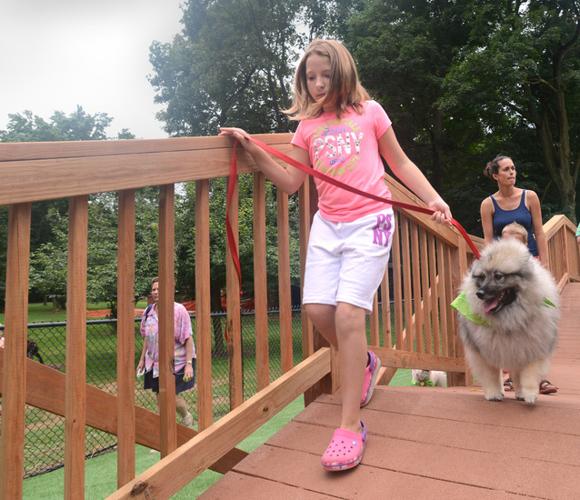 Beau's Dream Dog Park opens in city | News | lancasteronline.com