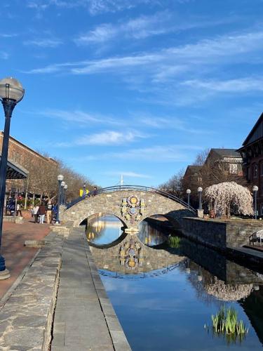 Traveling in Frederick, Maryland: spires, history, creek stroll, famous ...