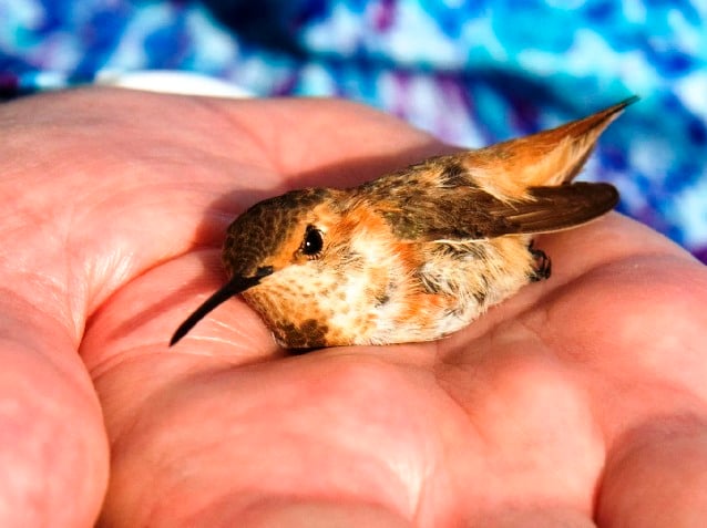 A touch of heaven for Edith Bailey | Opinion | lancasteronline.com