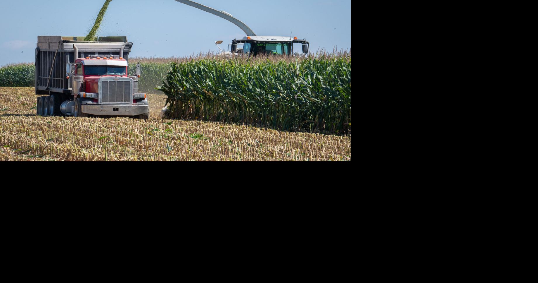 The drought that impacted Lancaster County farmers this summer is a ...