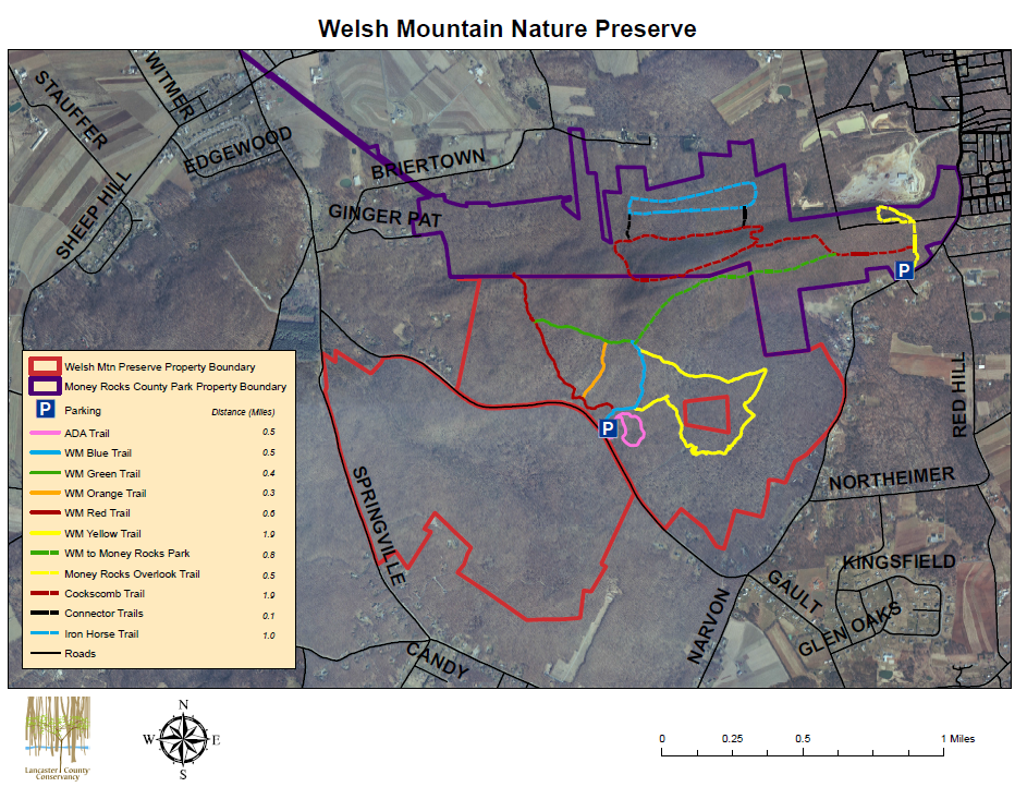 Community bands together to save Welsh Mountain | Local News ...