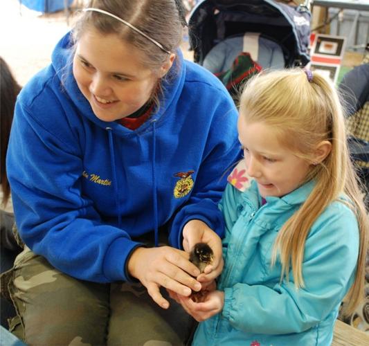 Manheim FFA hosts activities for children, students at Farm Show | News ...