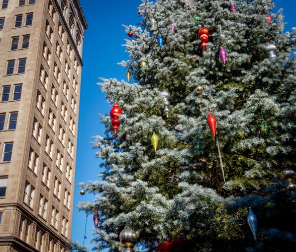 LEADS decorates this year's Lancaster holiday tree [photos ...