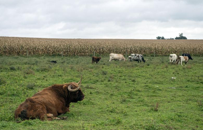 Biking through Lancaster County's farmland [photos] | Local News ...