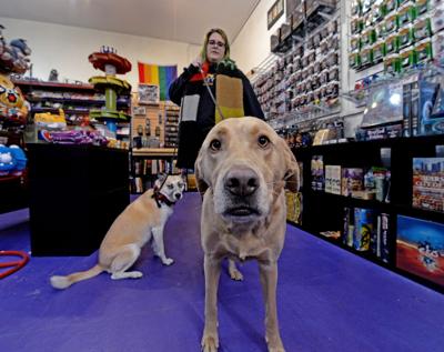 Sit! Stay! Bring your pooch to Harry Potter trivia and dog training at ...