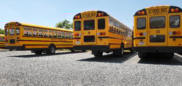 Bird nests under school bus, makes rounds - and fans | News ...