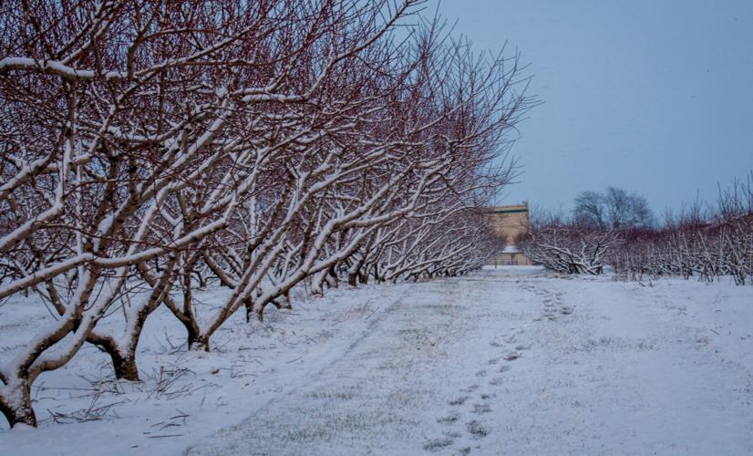 First snowfall of 2025 comes to Lancaster County [photos] | Local News ...