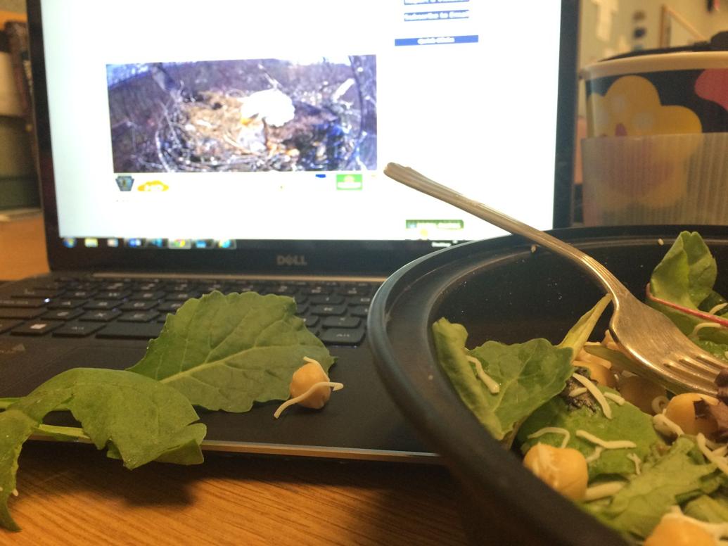 How to: Clean that sticky, germy computer | Life & Culture ...