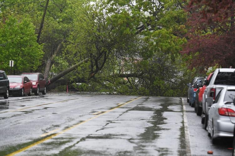 Trees down mid-day Sunday, blocking road in Lancaster city [update ...