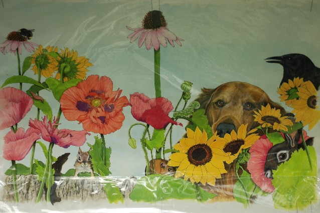 Stiegel students meet author/illustrator | News | lancasteronline.com