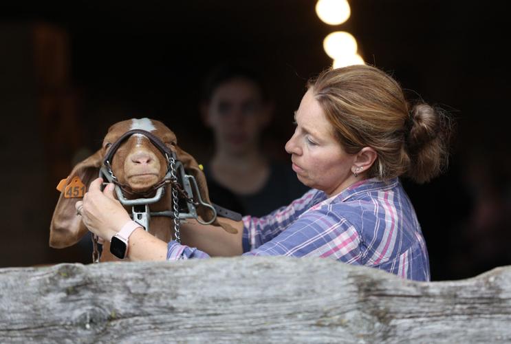West Lampeter Fair kicks off as queen is crowned [photos] | Local News ...