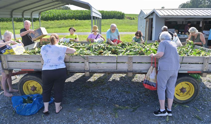 Summer's favorite treat is ready at the Corn Wagon in Lancaster [photos ...