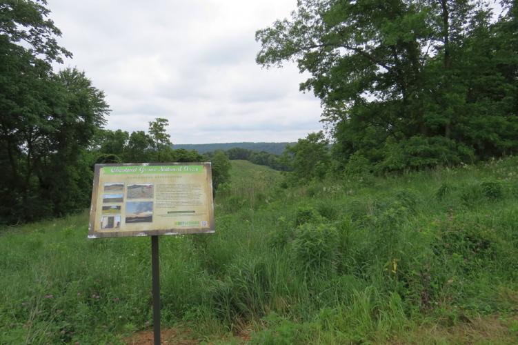 Chestnut Grove Natural Area is county's newest, most unique nature spot ...