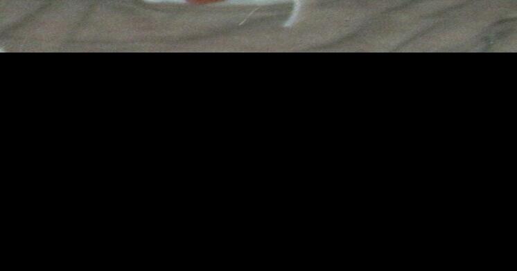 Paul Richard “Chick” Herr | Obituaries | lancasteronline.com