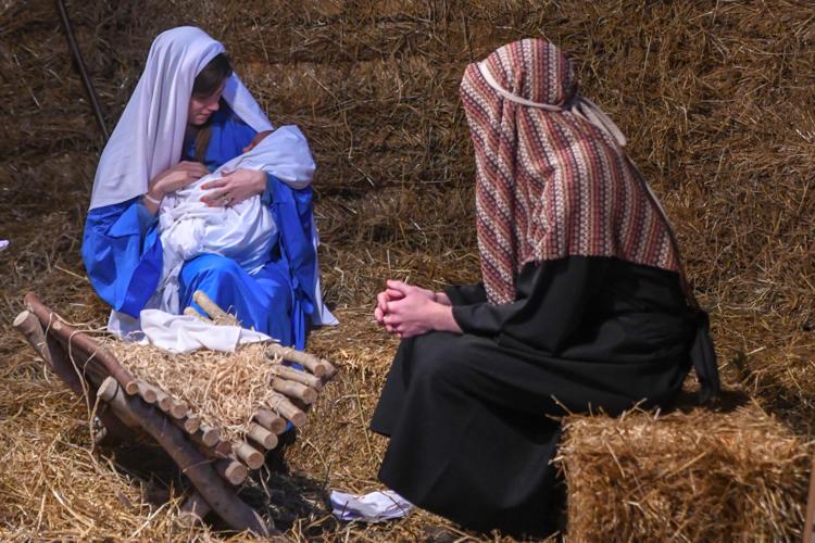 Live Willow Street Nativity has sheep grazing and cattle lowing | Faith ...