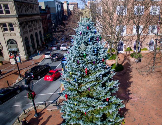 LEADS decorates this year's Lancaster holiday tree [photos ...