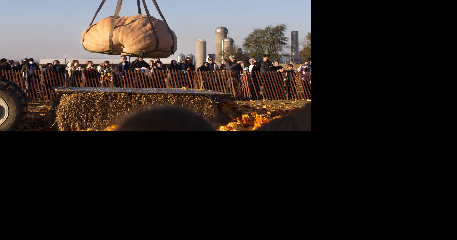 Smash pumpkins and watch 3 giant squash drops Saturday at these ...