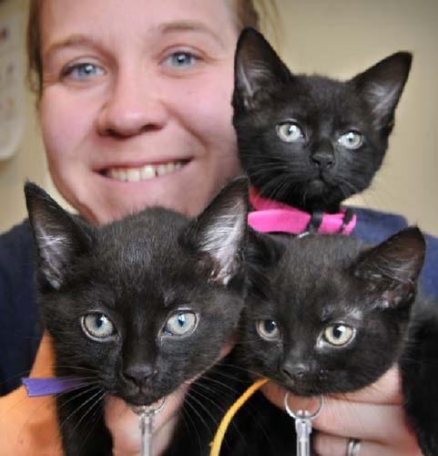 IRS cleans up nonprofit list | News | lancasteronline.com