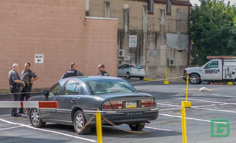 Witnesses: Dog didn't appear aggressive before officer shot it | Local ...