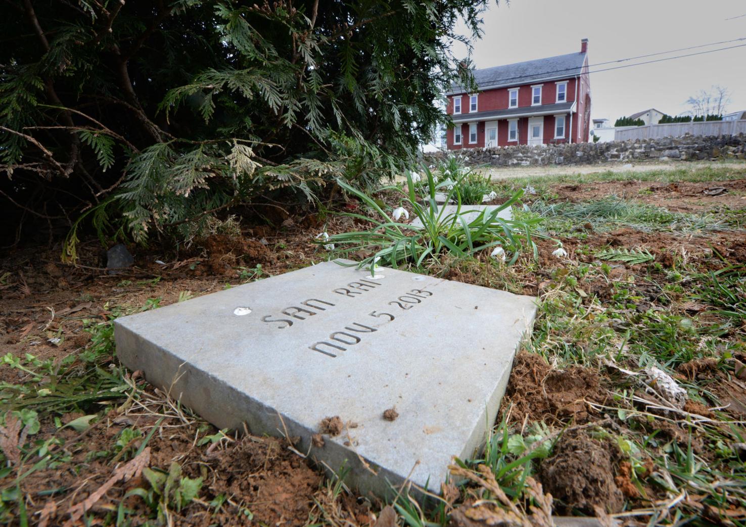 Green burials: There are a number of environmentally friendly ...