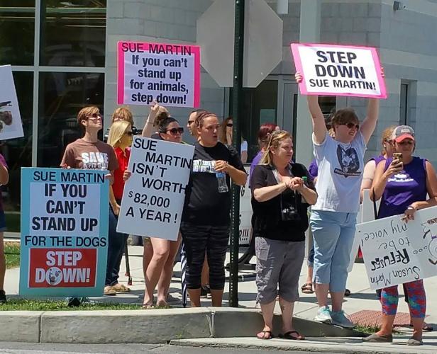Protesters call for SPCA director's resignation as ailing puppy Libre ...