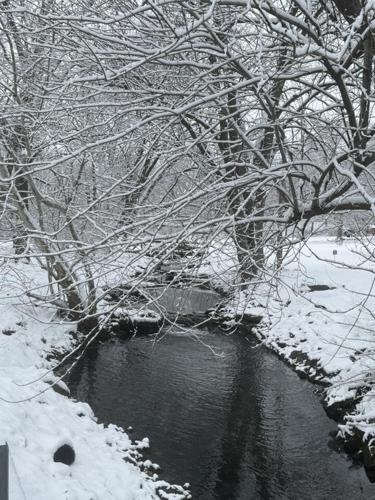 Readers share snowy views from around Lancaster County [photos] | Local ...