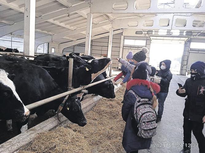 Ukraine dairy farm struggles under invasion while providing food to its ...
