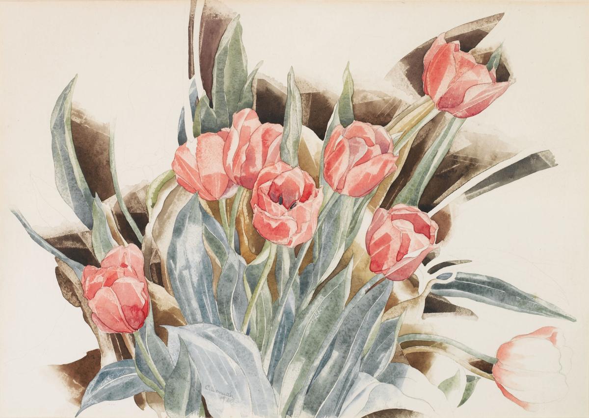 Charles Demuth's flower watercolors on display in ''Focus on Flora ...