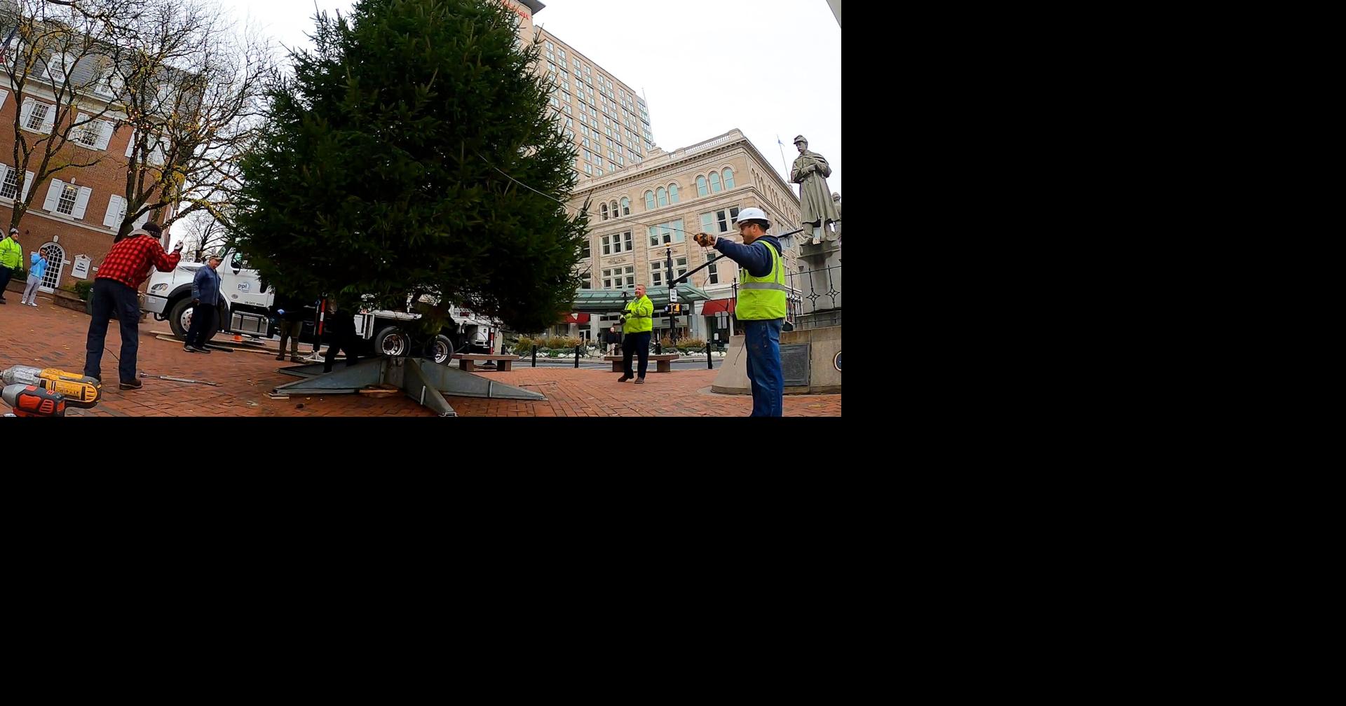 Watch: This year's Christmas tree arrives in Downtown Lancaster | Local ...