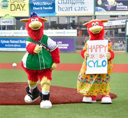 After training at camp, mascots show their stuff at Stormers game ...