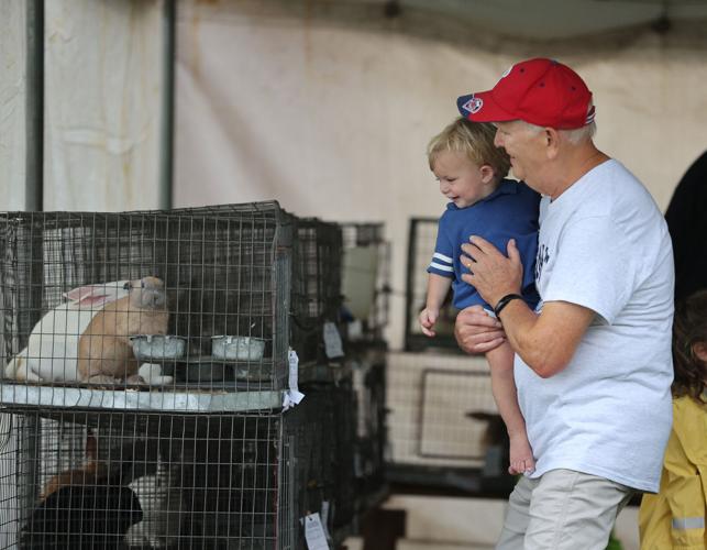 West Lampeter Fair kicks off as queen is crowned [photos] | Local News ...