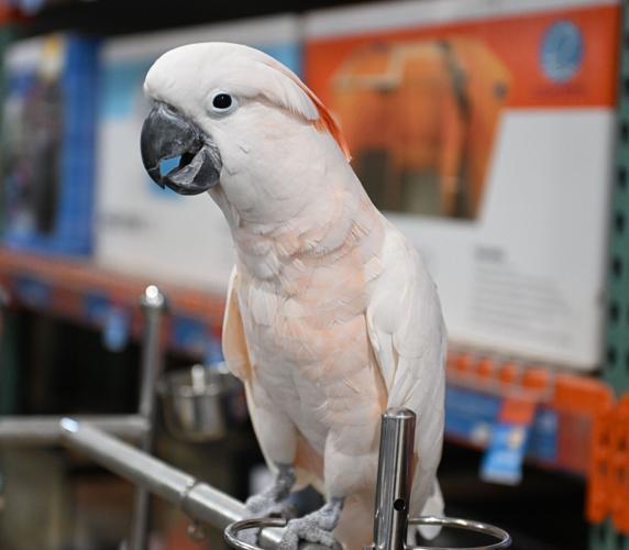 Showing pets of all kinds love at That Fish Place - That Pet Place in ...