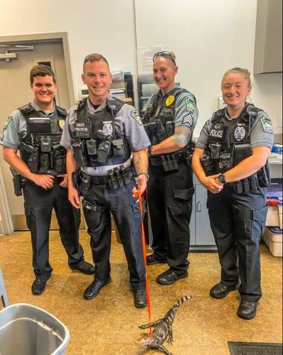 Columbia police remove caiman found in storage unit | Local News ...