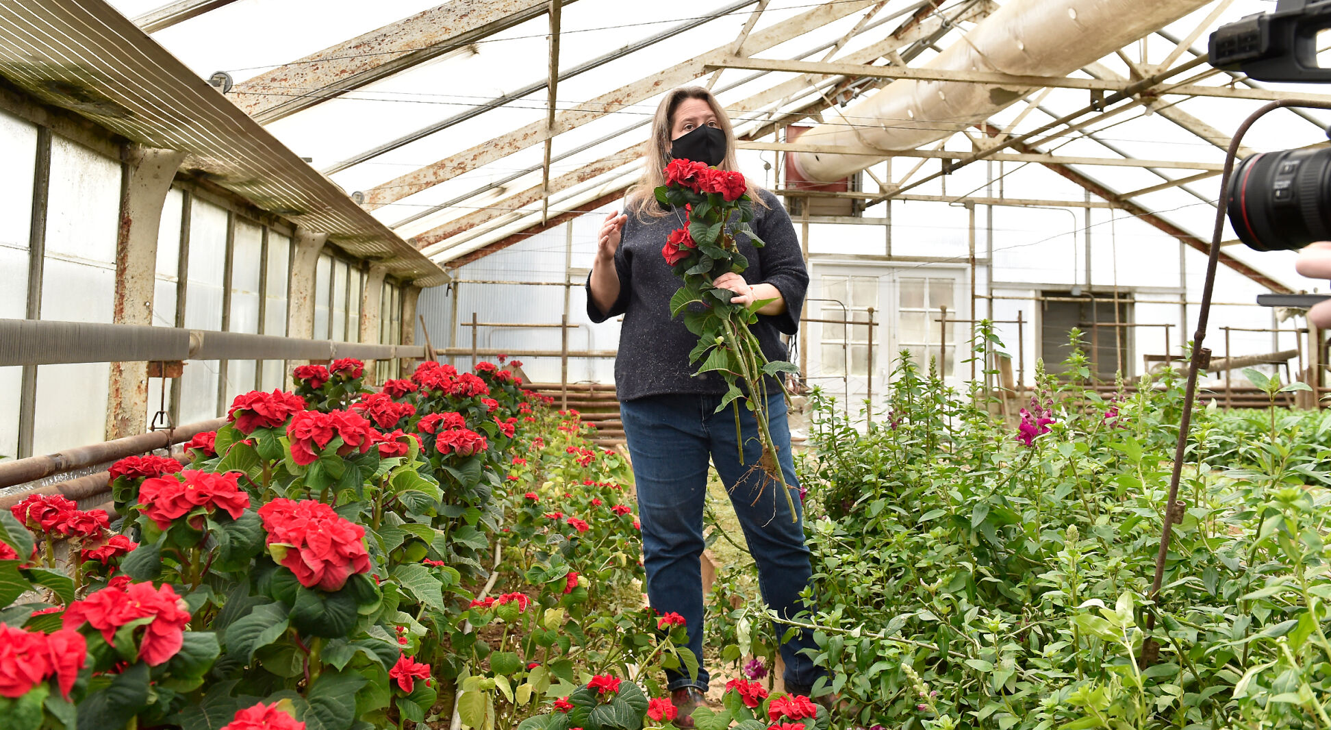 Meet Lancaster County's flower farmers, starting with Trish Snyder of ...