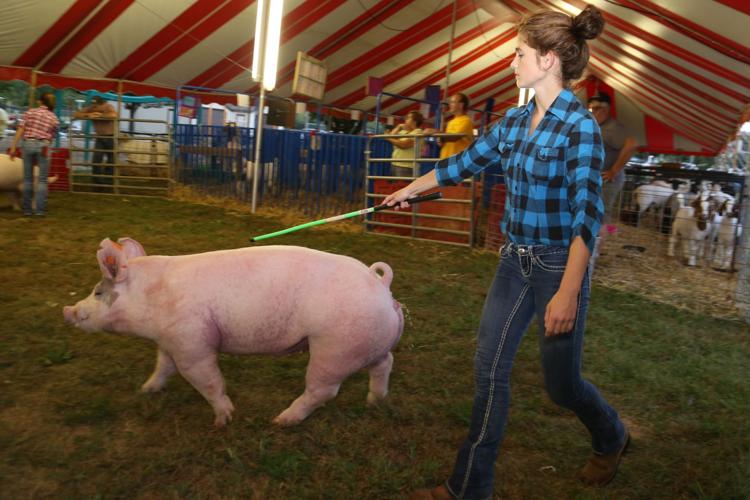 What you need to know about Denver Fair, which started Tuesday ...