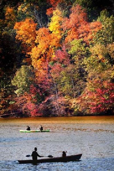 Speedwell Forge Lake will be completely drained | News ...